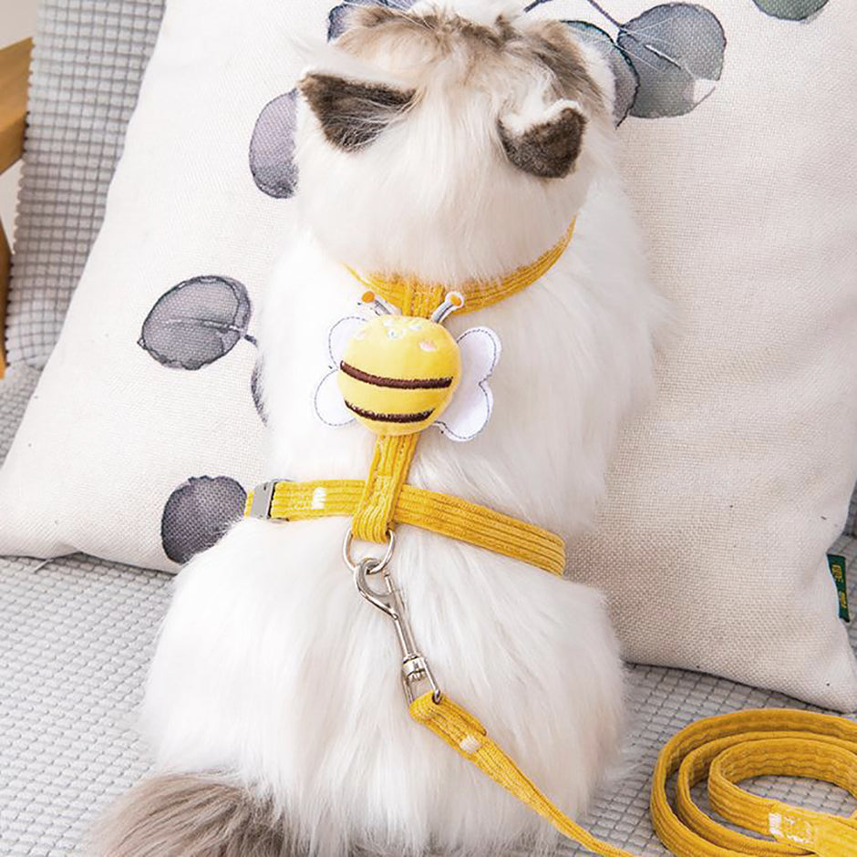Leashes, Collars & Harnesses for Dog – AIITLE